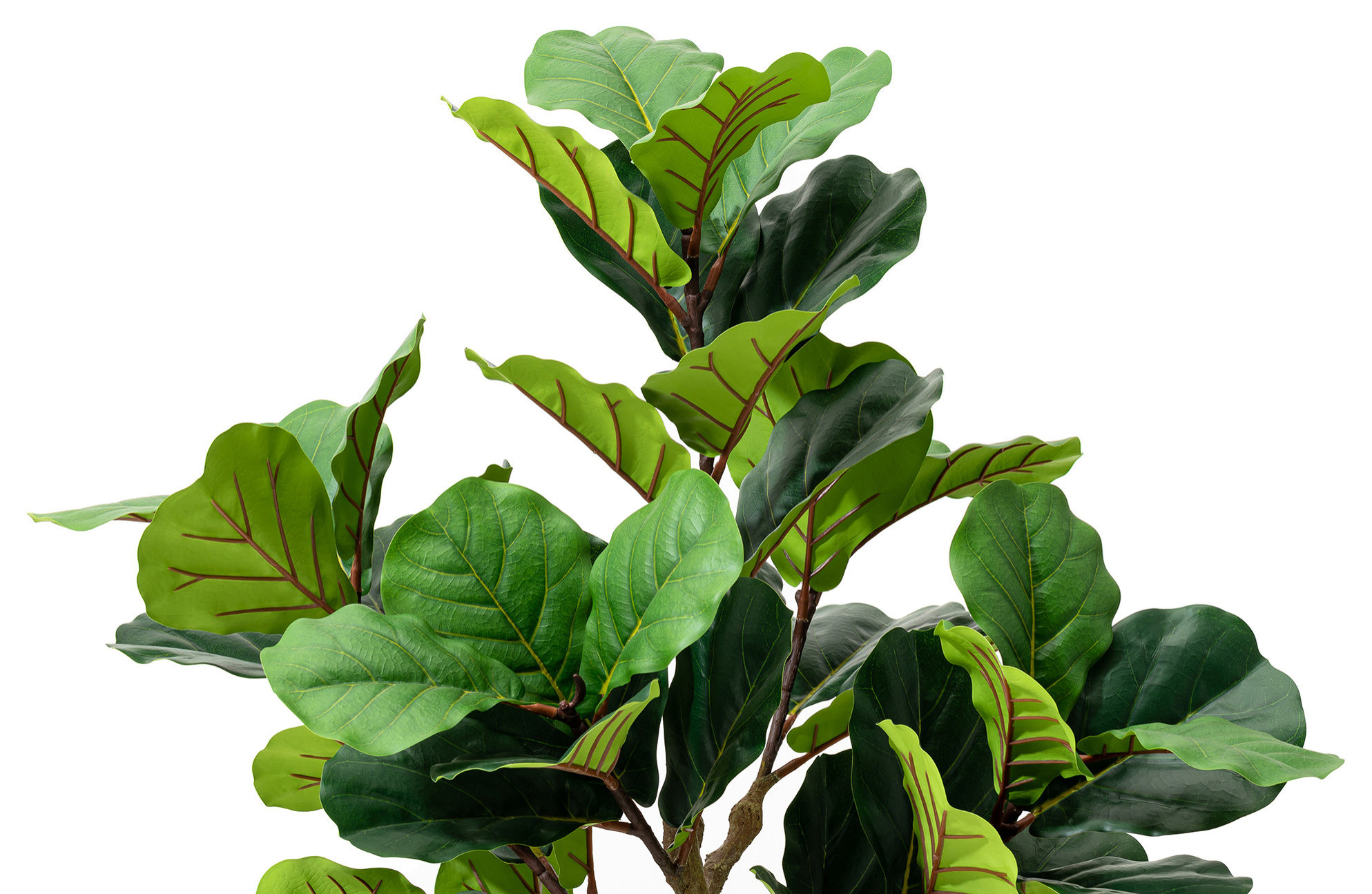 5' Faux Fiddle Leaf Fig Tree in Pot - Traditional - Artificial Plants ...