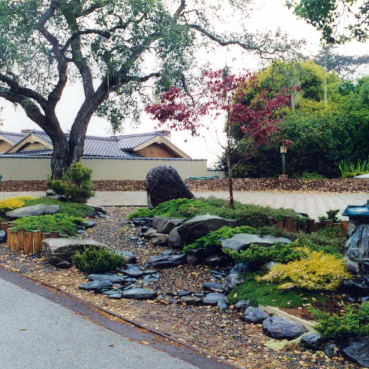 75 Beautiful Asian Garden Ideas & Designs - March 2025 | Houzz AU
