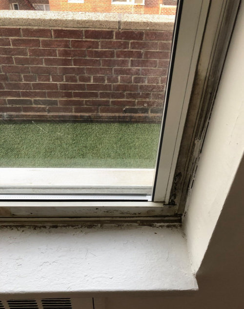Help with apt windows! | Houzz Forum