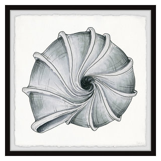 "Twirling Shell" Framed Painting Print, 24"x24" - Beach Style - Prints ...