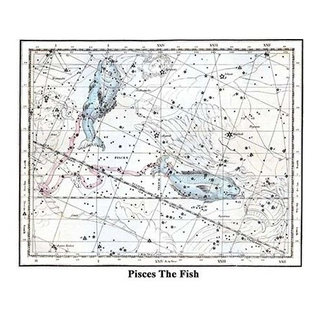 Pisces the Fish, 20" x 30" - Traditional - Prints And Posters - by ...