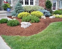 HELP! Snout House Needs Ideas! Is curb appeal possible?