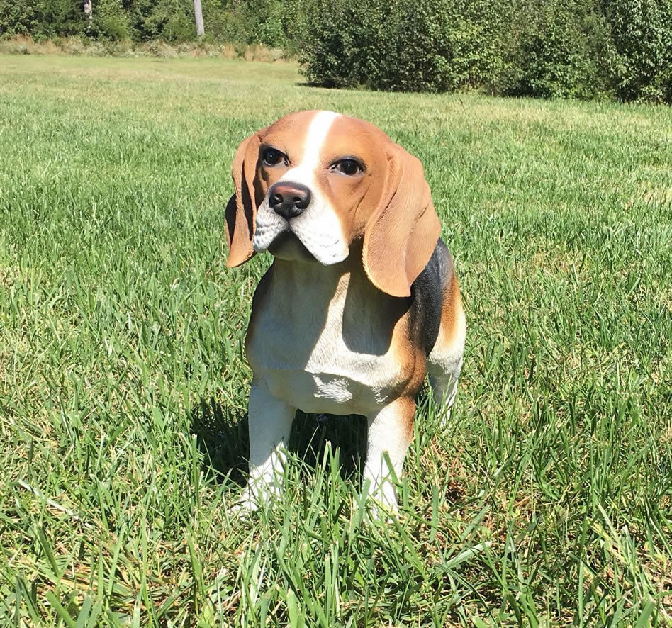 Realistic Standing Beagle Dog Garden Statue, 15.5" - Contemporary ...