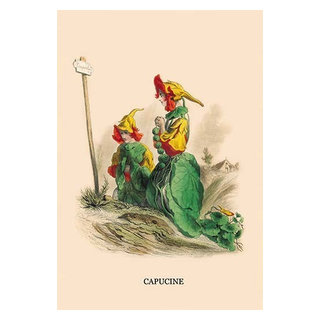 Capucine, 20" x 30" - Traditional - Prints And Posters - by Buyenlarge ...