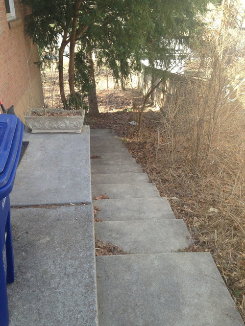 Neglected Yard & Exterior - what to do, where to start?