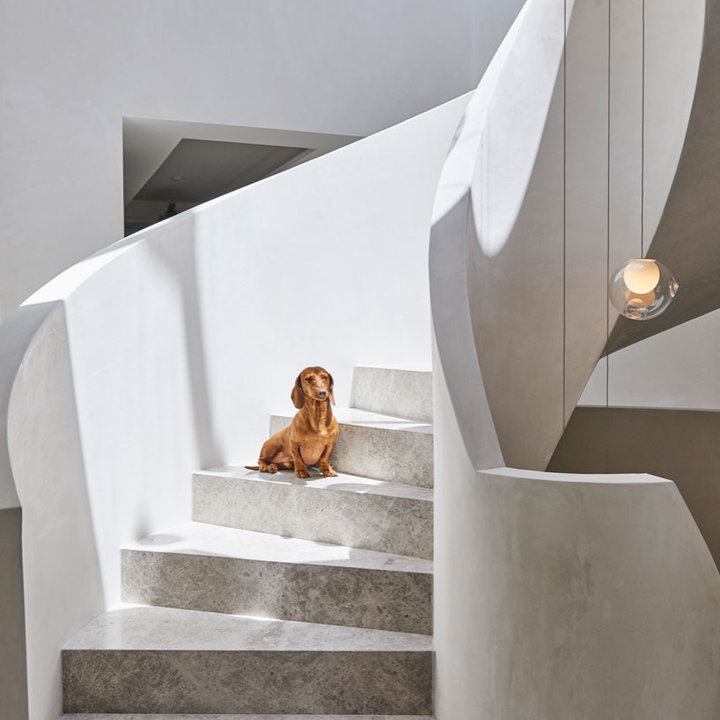 75 Beautiful Staircase Ideas & Designs - November 2023 | Houzz AU