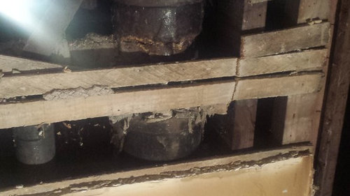 Help! Found hole in cast iron vent stack