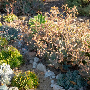 75 Beautiful Desert River Rock Landscaping Pictures & Ideas - September ...