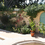 Springerii and Fern Mixture in a Oval Beige with Bronze Rim Ceramic ...