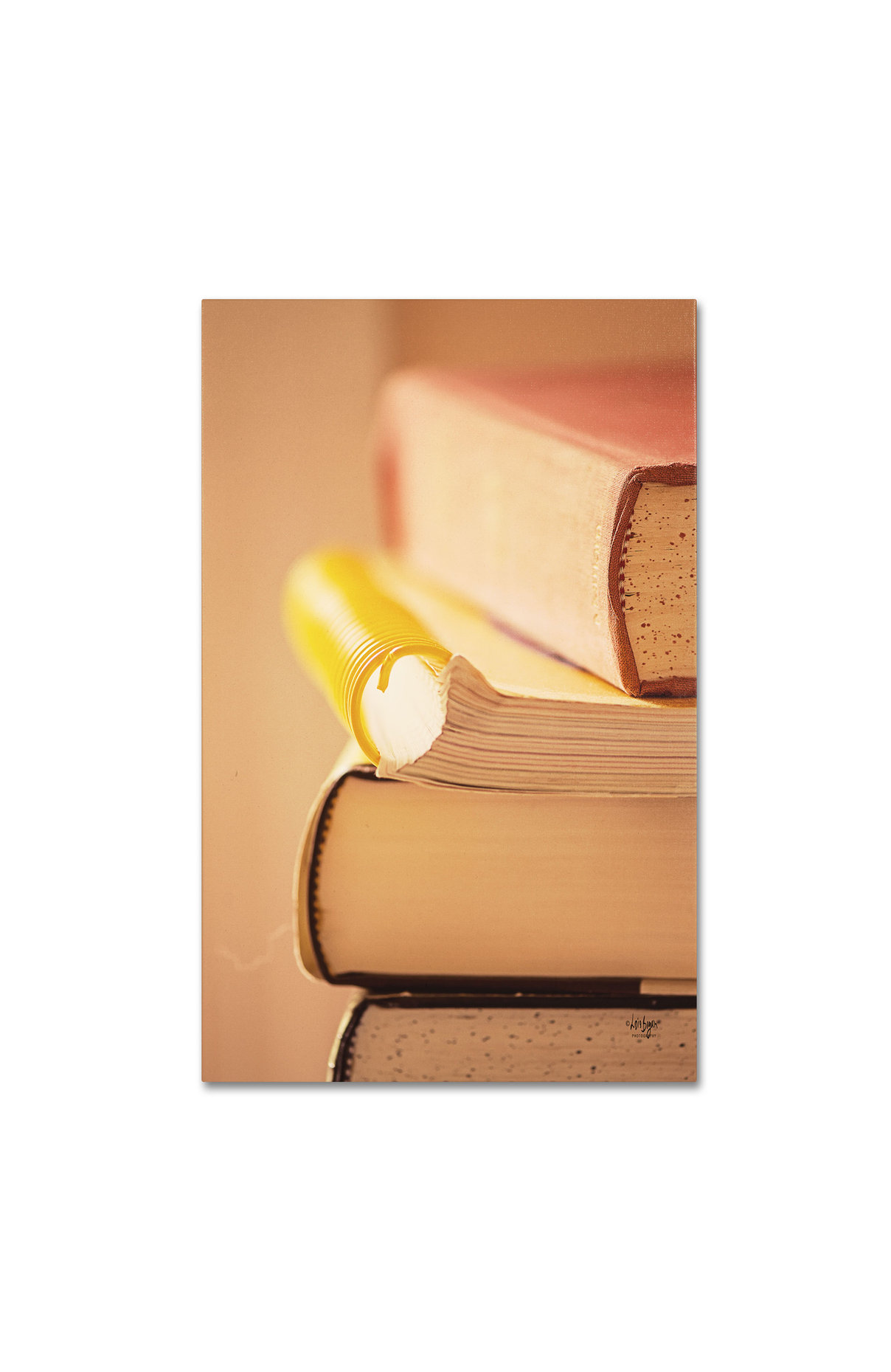 'Pre Internet' Canvas Art by Lois Bryan, 16" x 24" - Traditional ...