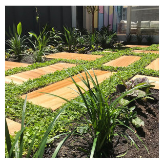 Atrium Garden - Landscape - Sydney - by FCG Landscaping | Houzz