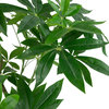 4' Artificial Unbraided Potted Green Money Tree - Modern - Artificial ...