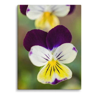 Pretty Little Violets Floral Nature Photography Canvas Wall Art Print ...