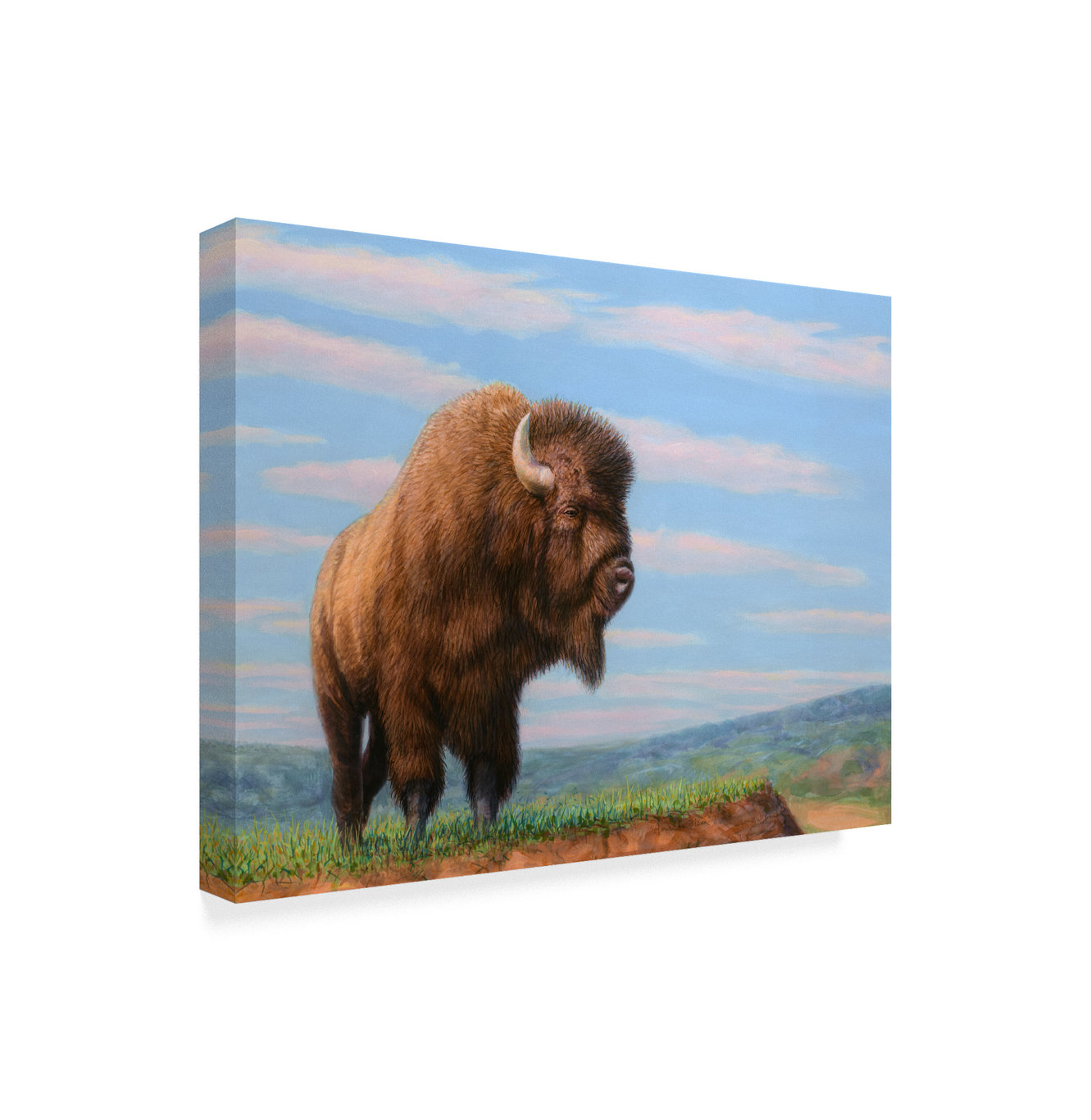James W. Johnson 'American Bison' Canvas Art, 19"x14" - Southwestern ...