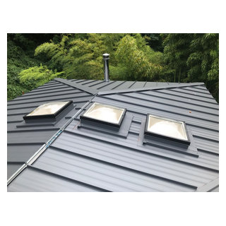 WEST SEATTLE ROOF REFRAME - Modern - Exterior - Seattle - by DCS Built ...