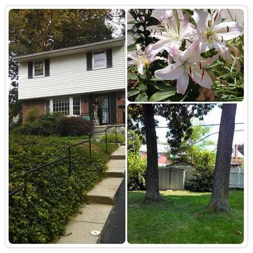 Help for a boxy, bland house front! | Houzz Forum