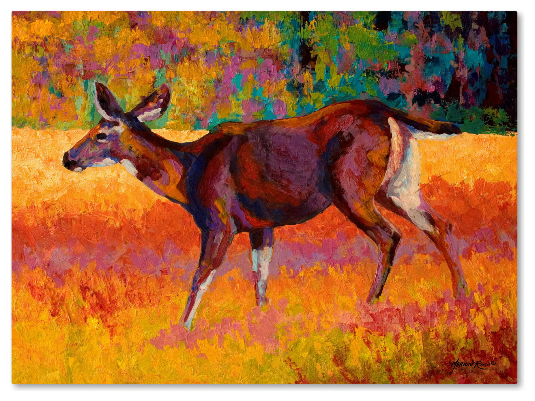 Marion Rose 'Doe I' Canvas Art, 18"x 24" - Rustic - Prints And Posters ...