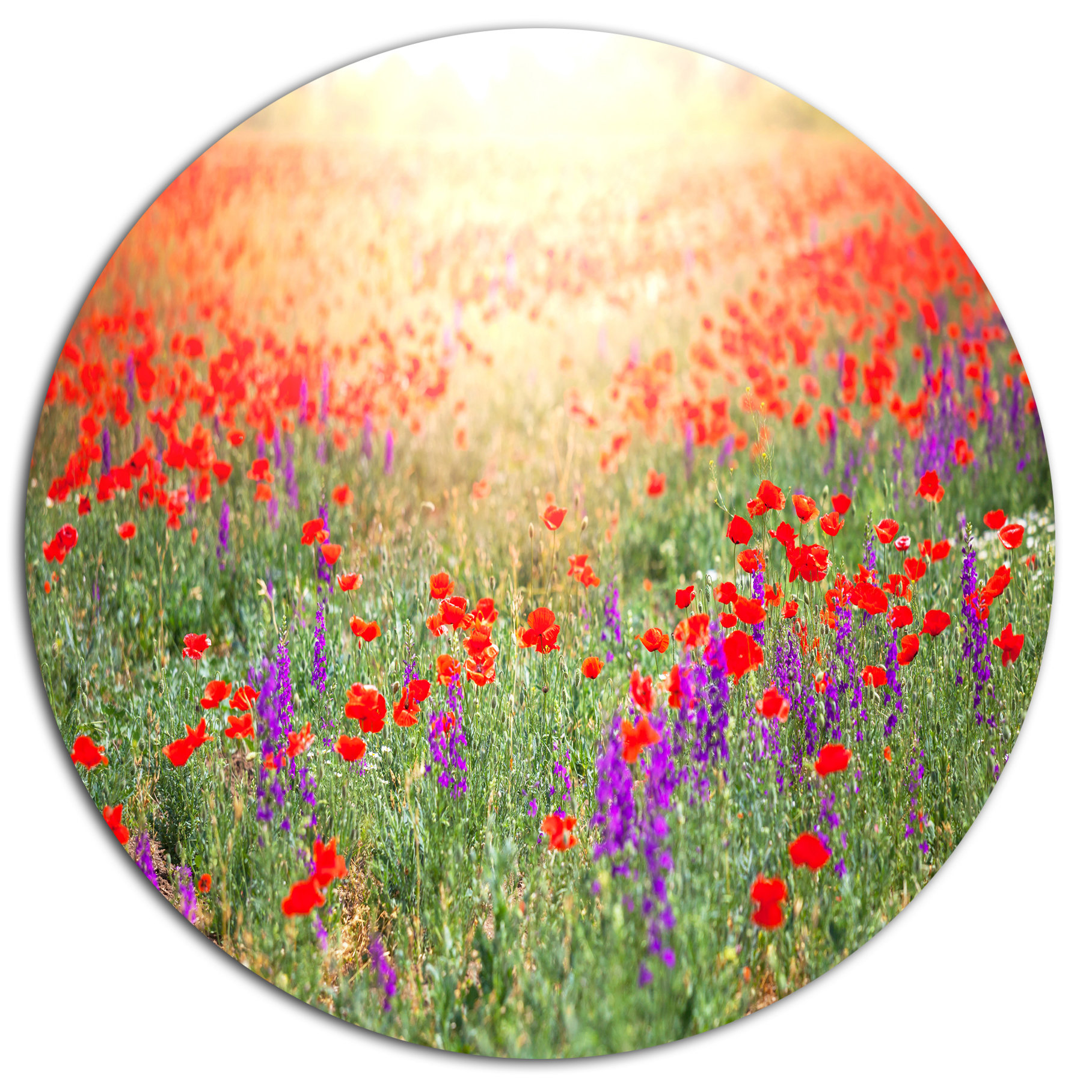 Expansive Poppy Field At Sunset, Flower Round Metal Wall Art, Disc of ...