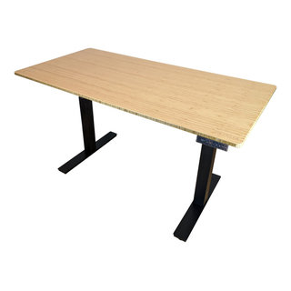Rise Up Electric Adjustable Height Sit/Stand Office Desk - Contemporary ...