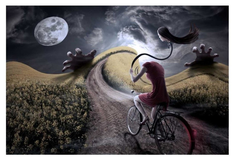 "Lightheaded" Digital Paper Print by Christophe Kiciak, 24"x17", 32"x22 ...