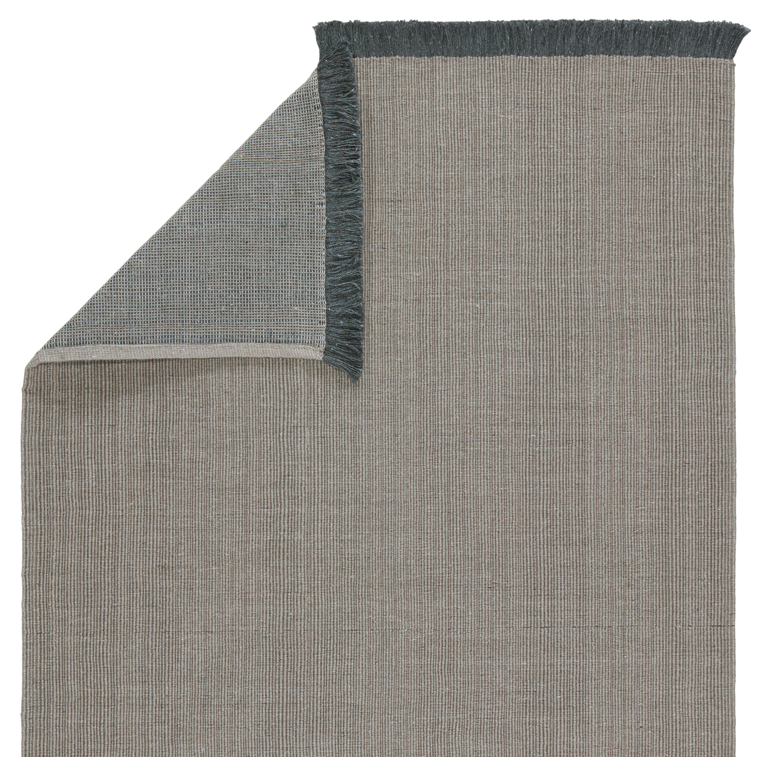 Jaipur Living Engild Indoor/ Outdoor Solid Area Rug, 4'x6 ...
