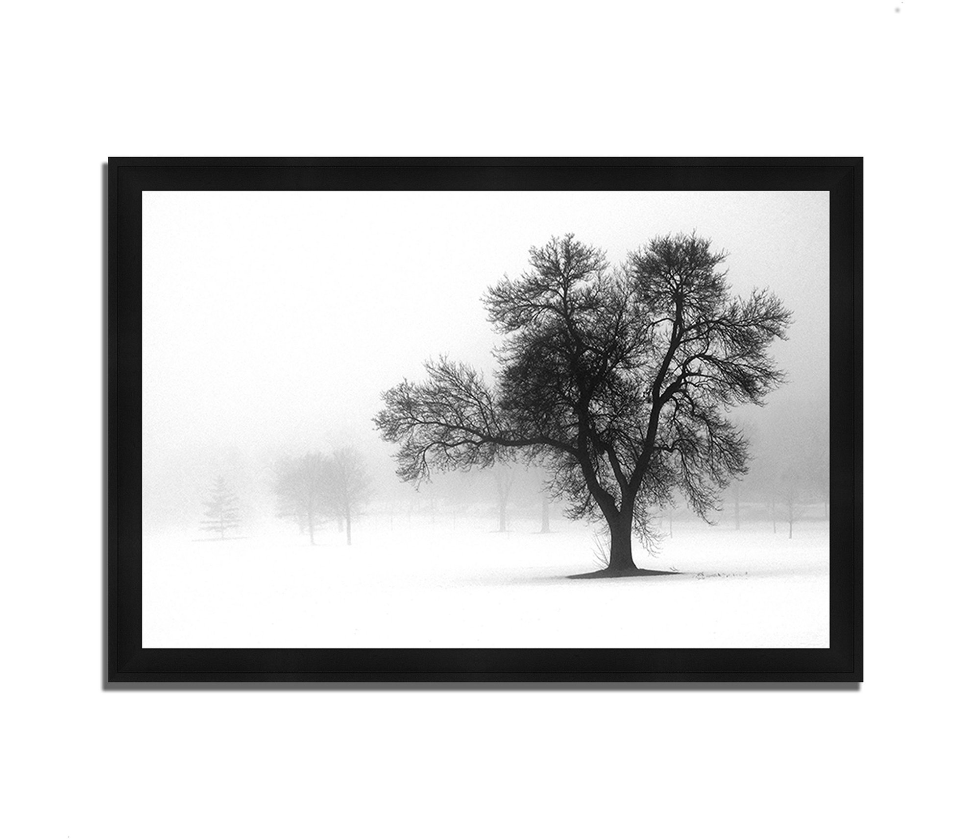 "Reaching Out", Framed Photograph Print, Ready To Hang - Contemporary ...