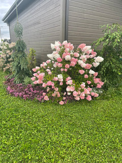 Random Garden Photos