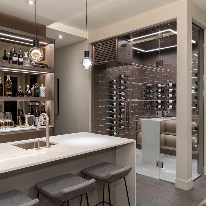 75 Beautiful Basement Bar Pictures & Ideas | Houzz