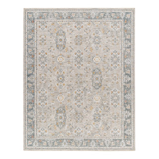Surya Dresden DRE-2325 Machine Woven Area Rug, 7'10" x 10'2 ...