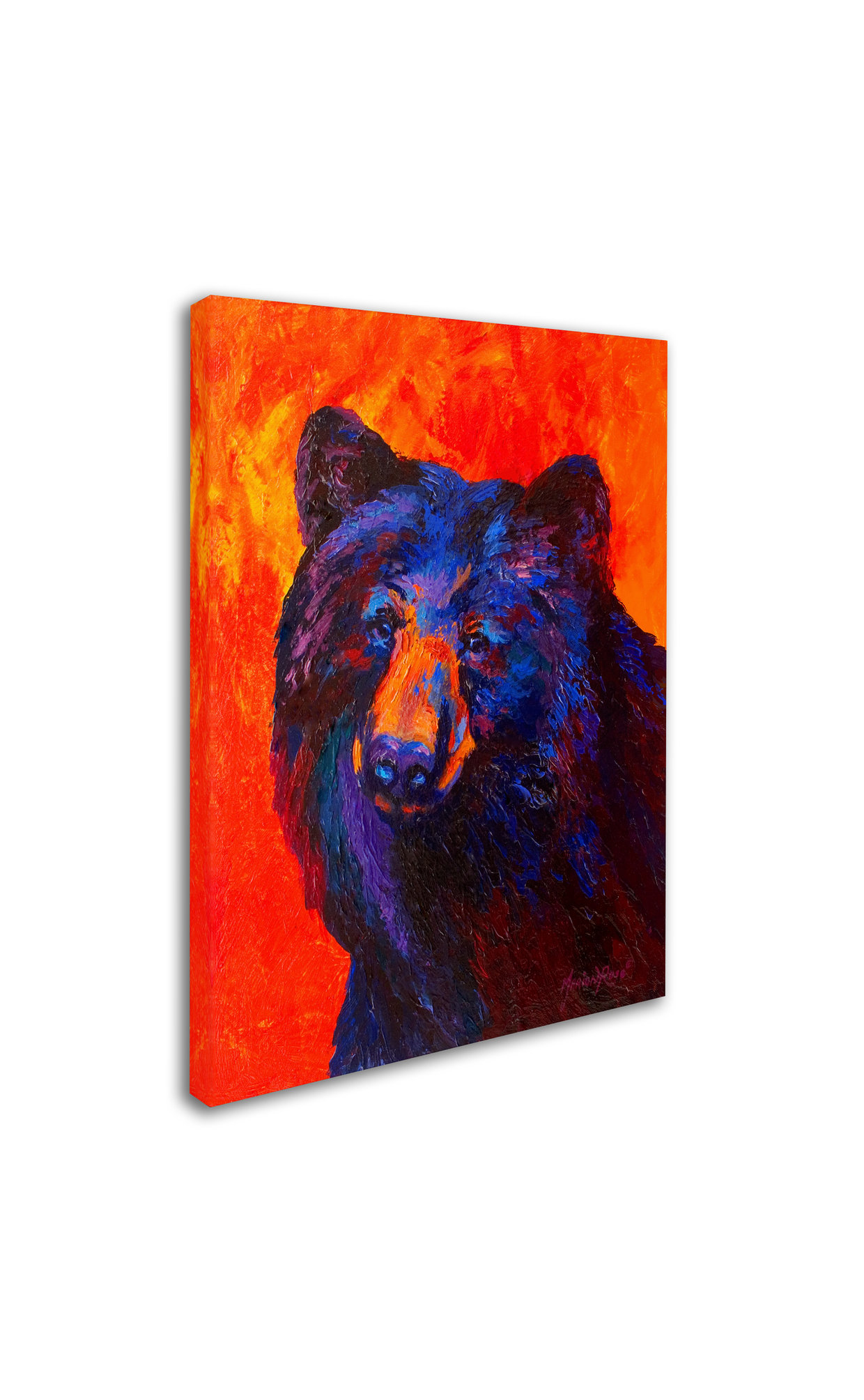 Marion Rose 'Thoughtful Black Bear' Canvas Art, 35"x 47" - Rustic ...
