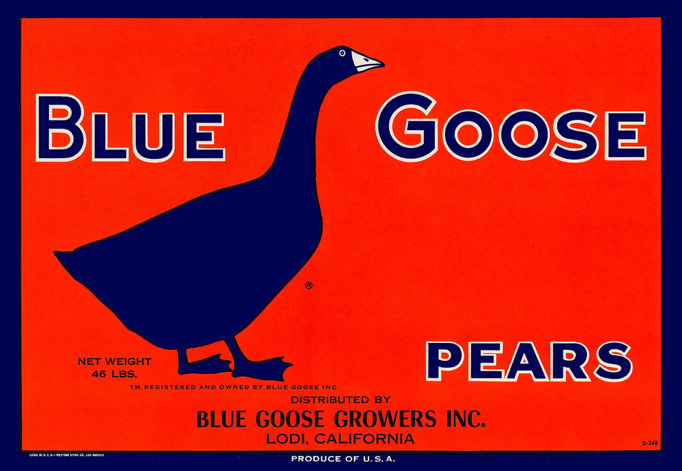 Blue Goose Pears Print, 17" x 22" - Contemporary - Prints And Posters ...
