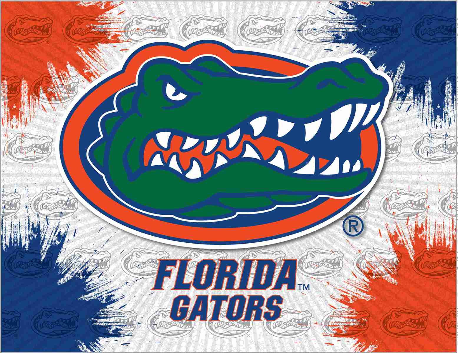 Holland University of Florida 15"x20" Canvas Wall Art - Contemporary ...