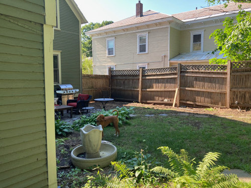 Need privacy landscaping input! (zone 5)