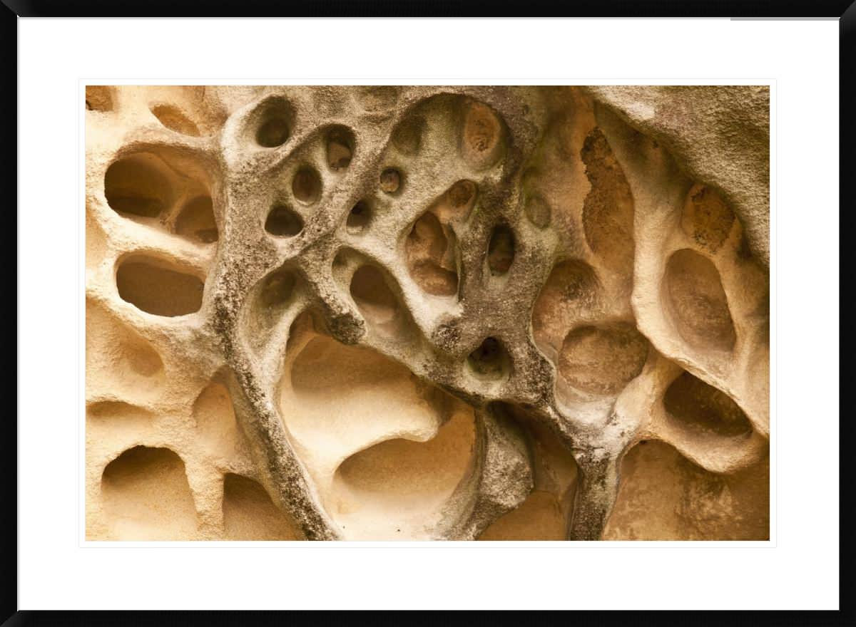Cavernous Weathering In Sandstone Rock, 36"x26" - Contemporary - Prints ...