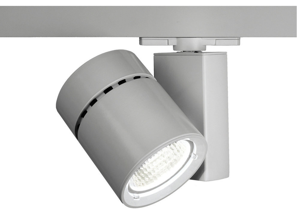 Exterminator II LED Track Head, Platinum - Contemporary - Track Heads ...