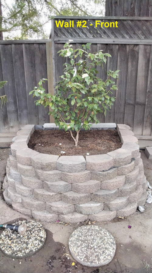 Clinging Vines That Tolerate Acidic Soil?