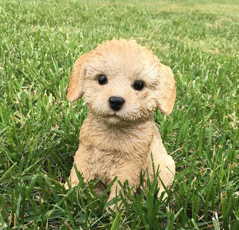 Realistic Labradoodle Puppy Dog Garden Statue - Contemporary - Garden ...