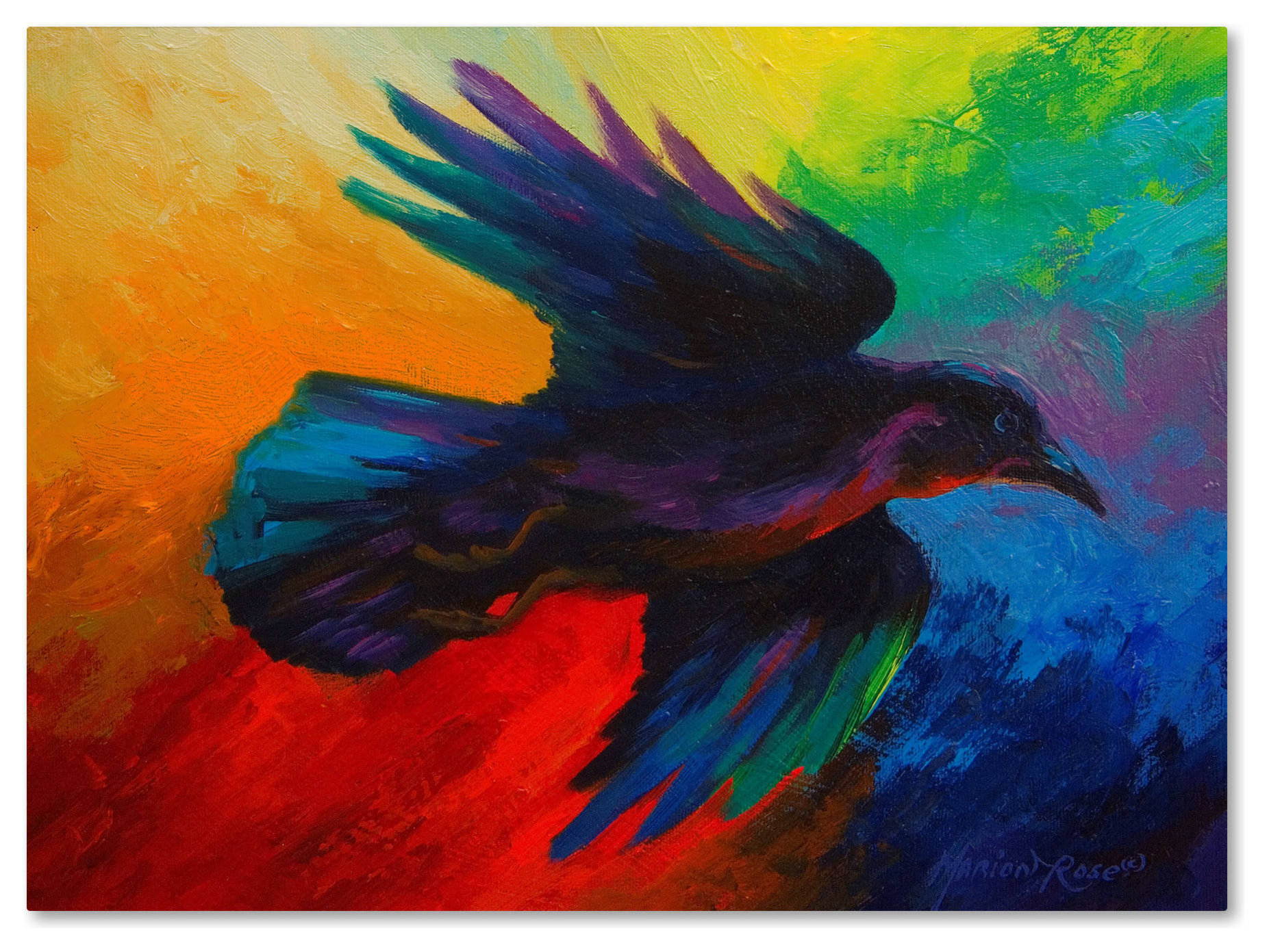 Marion Rose 'Crow 4' Canvas Art, 19"x 14" - Contemporary - Prints And ...