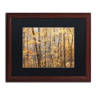 Jason Shaffer 'Autumn Treeline 2' Matted Framed Art, 20"x16 ...