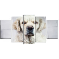 "Sad Looking Beautiful Dog", 60"x32" - Contemporary - Metal Wall Art ...