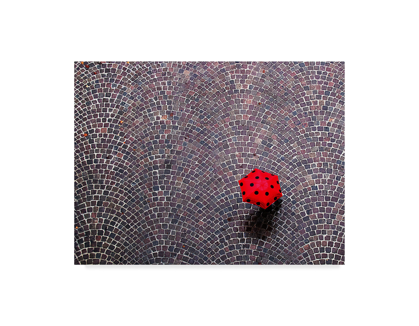Franco Maffei 'Urban Ladybug' Canvas Art, 32"x24" - Contemporary ...