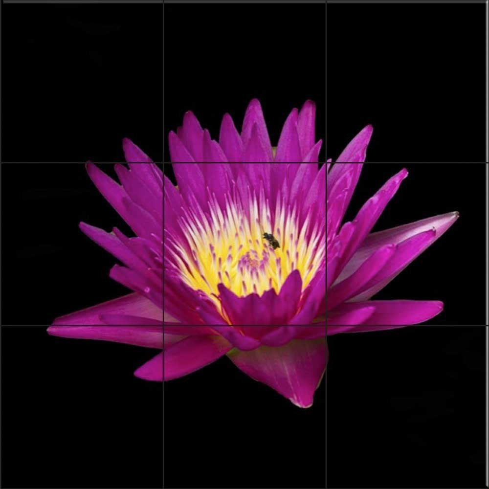 Tile Mural, Majestic Magenta by Sean Allen, 12.75" x 12.75" (9 Tiles ...