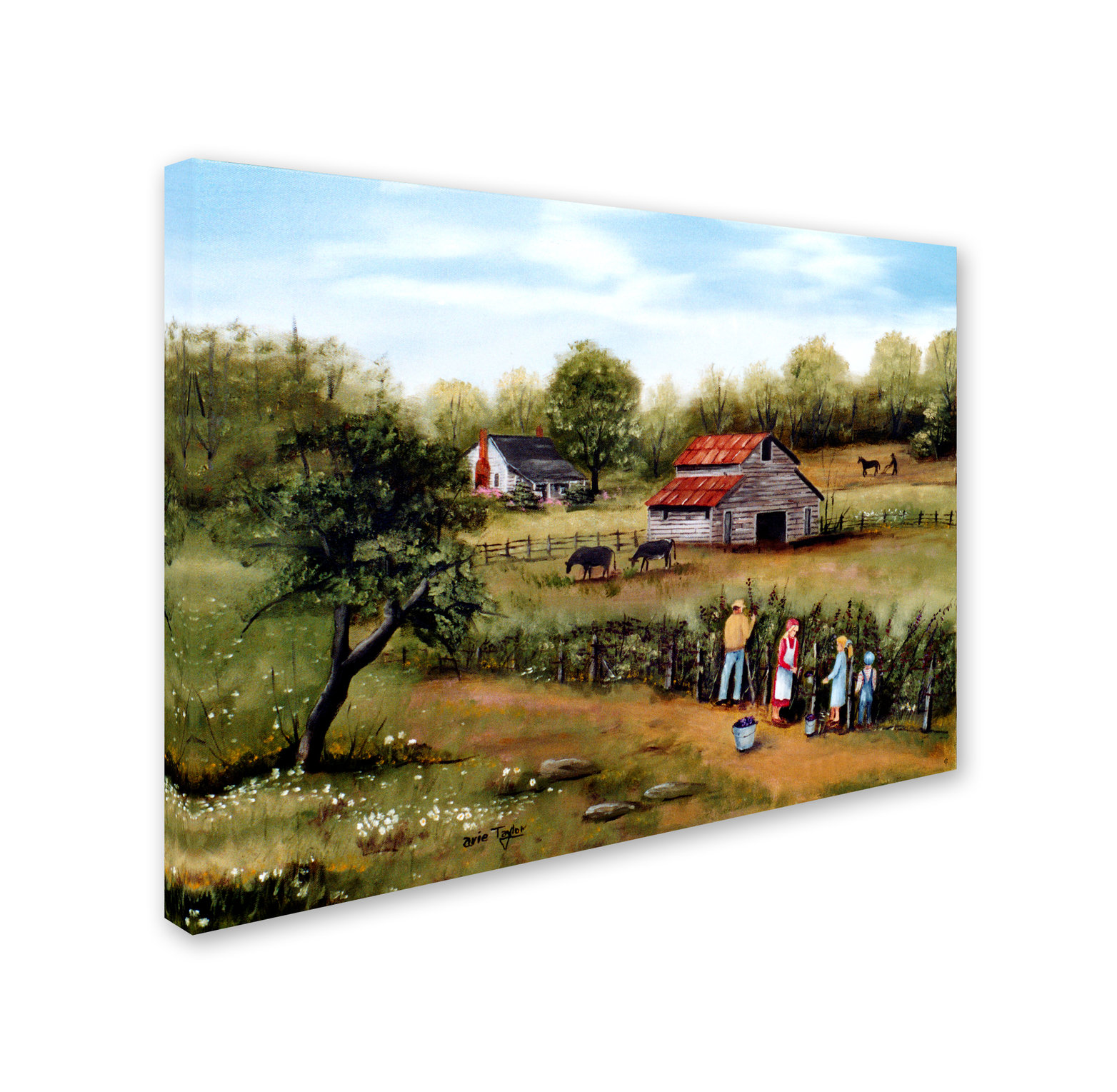 "Pickin Blackberries 3" by Arie Reinhardt Taylor, Canvas Art, 19"x14 ...
