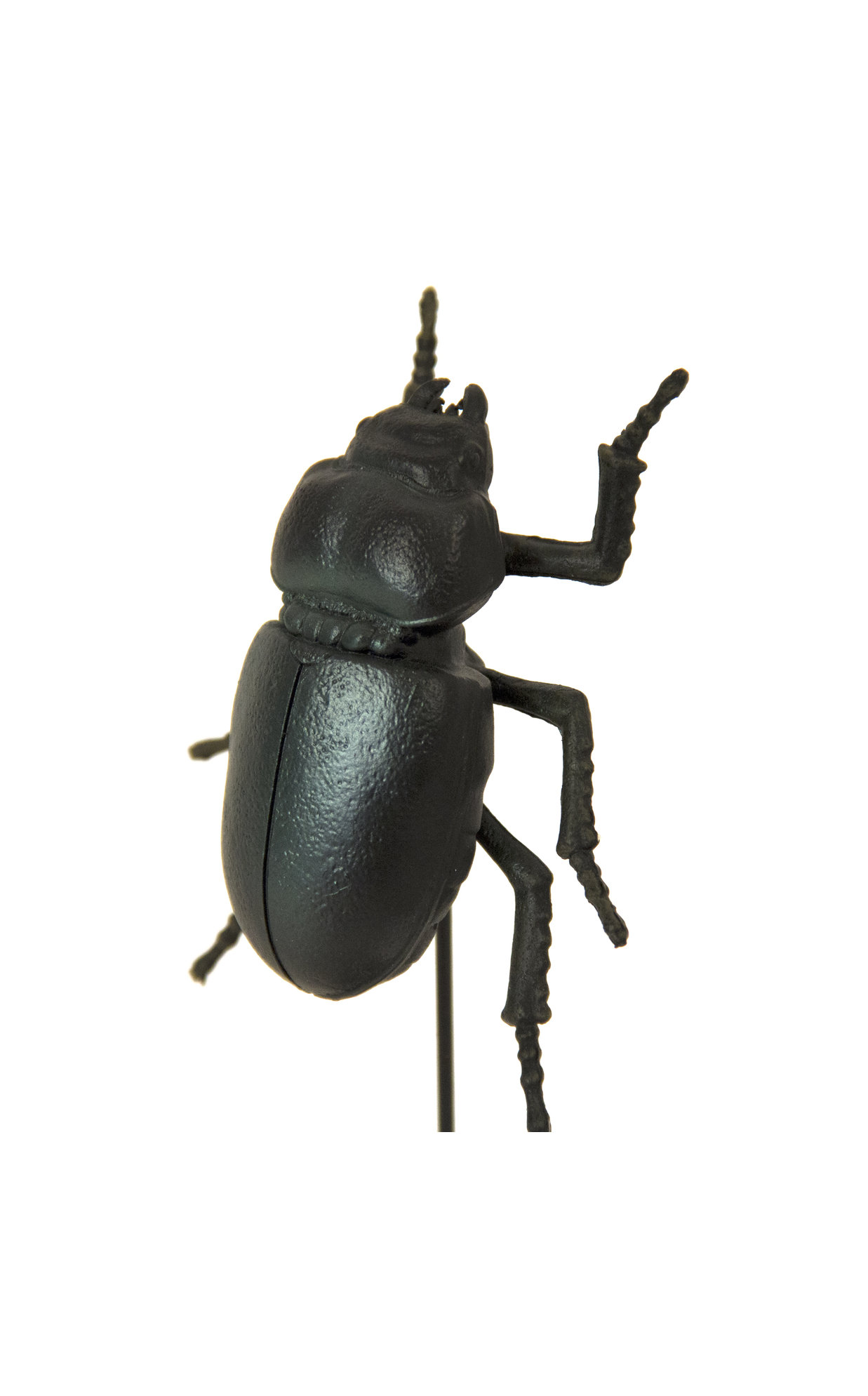 Stag Beetle On Stand, Small - Contemporary - Decorative Objects And ...