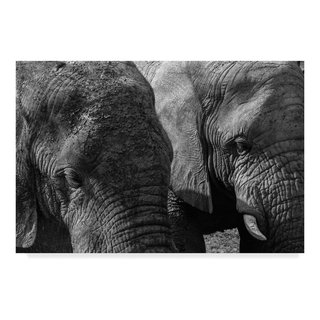 "Two Heads Are Better Than One" by Thom Sivo, Canvas Art, 22"x32 ...