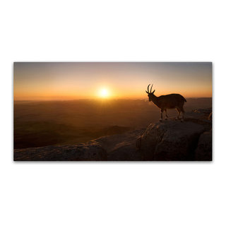 Nadav Jonas 'A New Day' Canvas Art, 32"x 16" - Rustic - Prints And ...