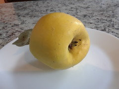 Crimea quince fruit review | Houzz Forum