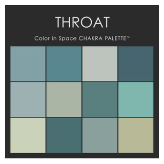 Color in Space Throat Chakra Paint Color Palette™ - Craftsman - Paint ...