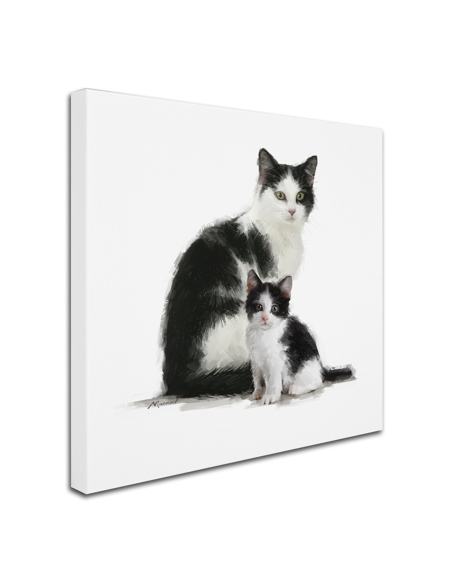 The Macneil Studio 'Black and White' Canvas Art, 35"x35" - Contemporary ...