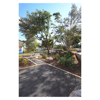 Jester's Crown - Contemporary - Landscape - Austin - by Native Edge ...